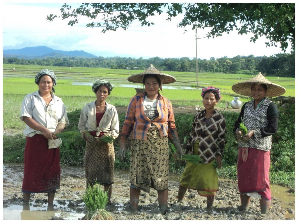 Ranglong Common Life-Style | Ranglong